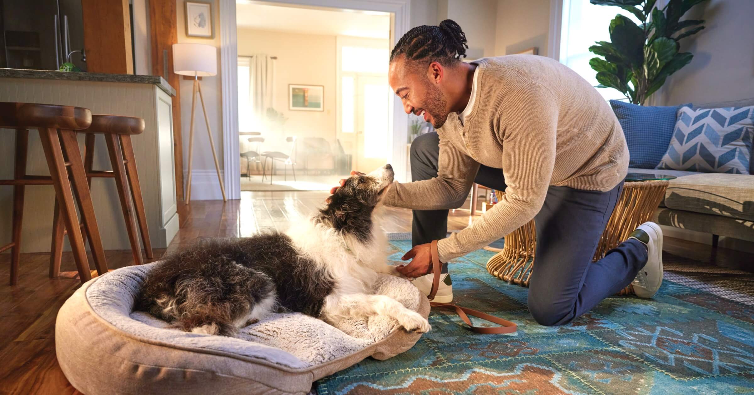 Why Librela | Zoetis Petcare