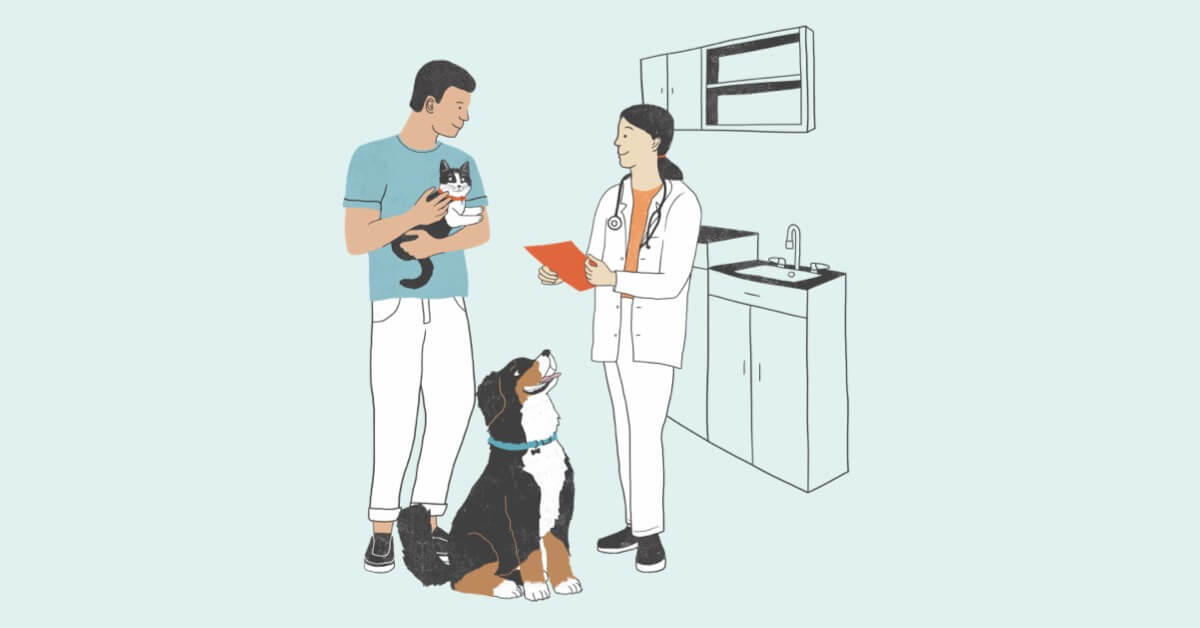 Pet Health Checklist | Zoetis Petcare