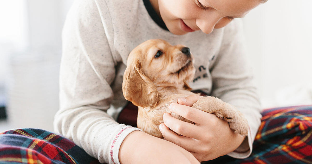 Giving Pets as Gifts – Important Considerations | Zoetis Petcare