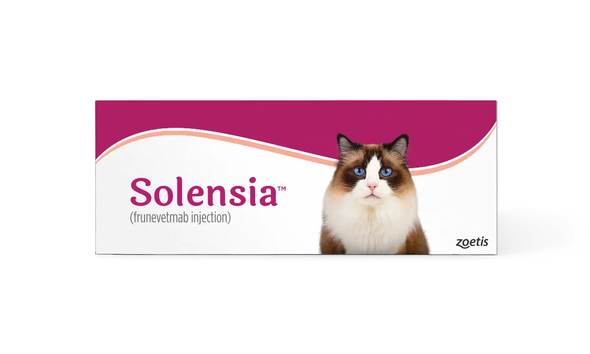 Solensia for Pet Owners | Zoetis Petcare