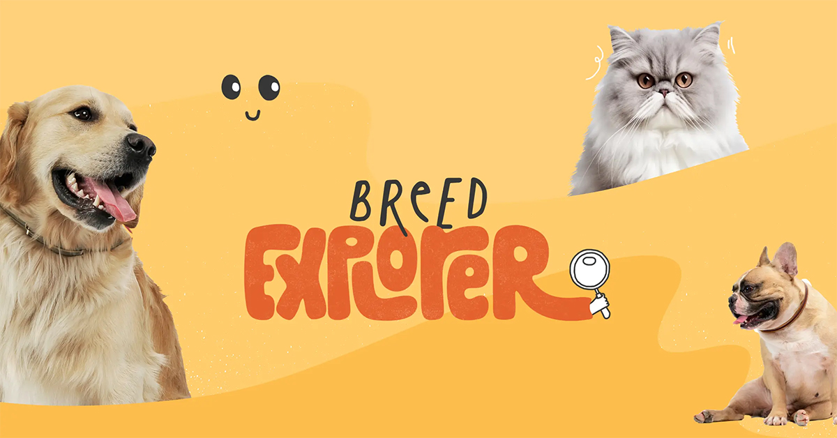 Breed Explorer Search | Zoetis Petcare