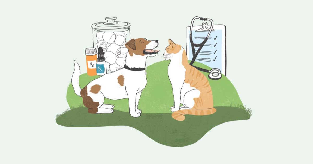 Vet Visit Prep Checklist | Zoetis Petcare