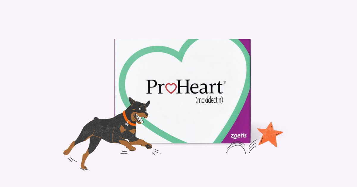 Earn up to $18 in Rewards with ProHeart | Zoetis Petcare