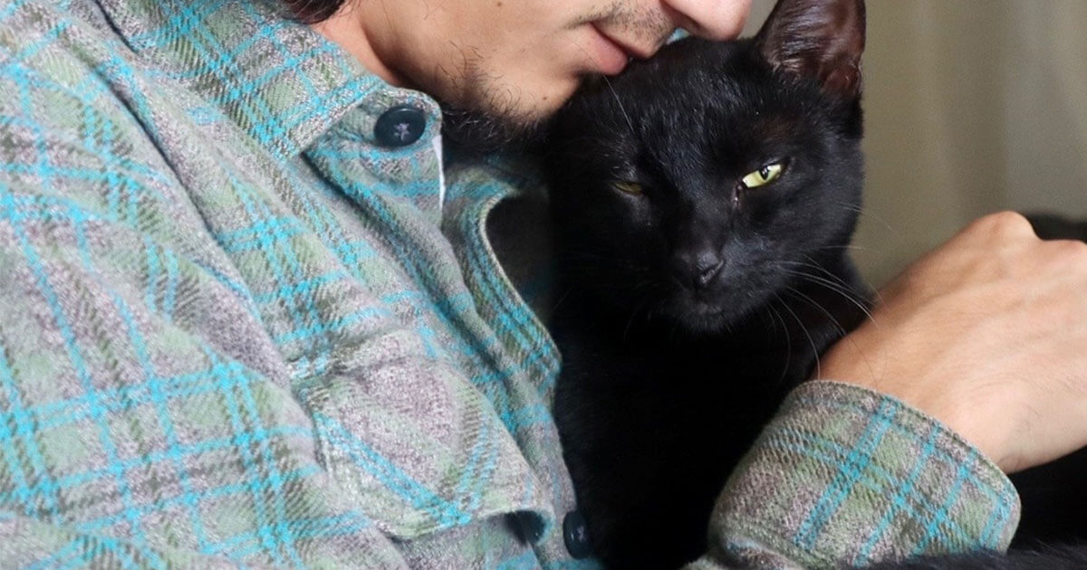 Black Cats: Myths, Facts & More | Zoetis Petcare