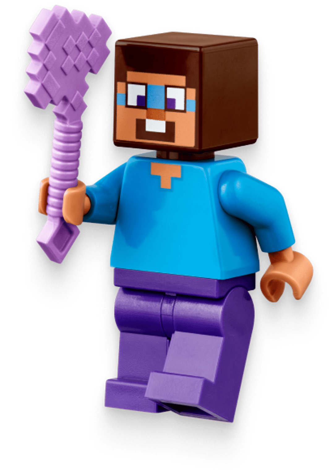 LEGO® Minecraft™