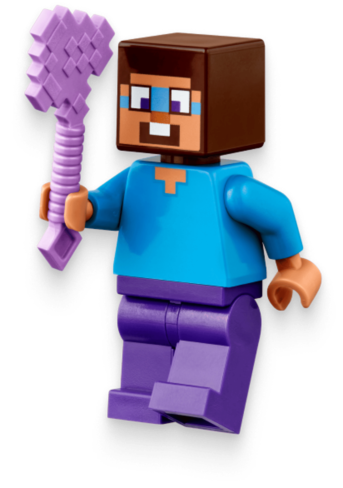 LEGO® MINECRAFT