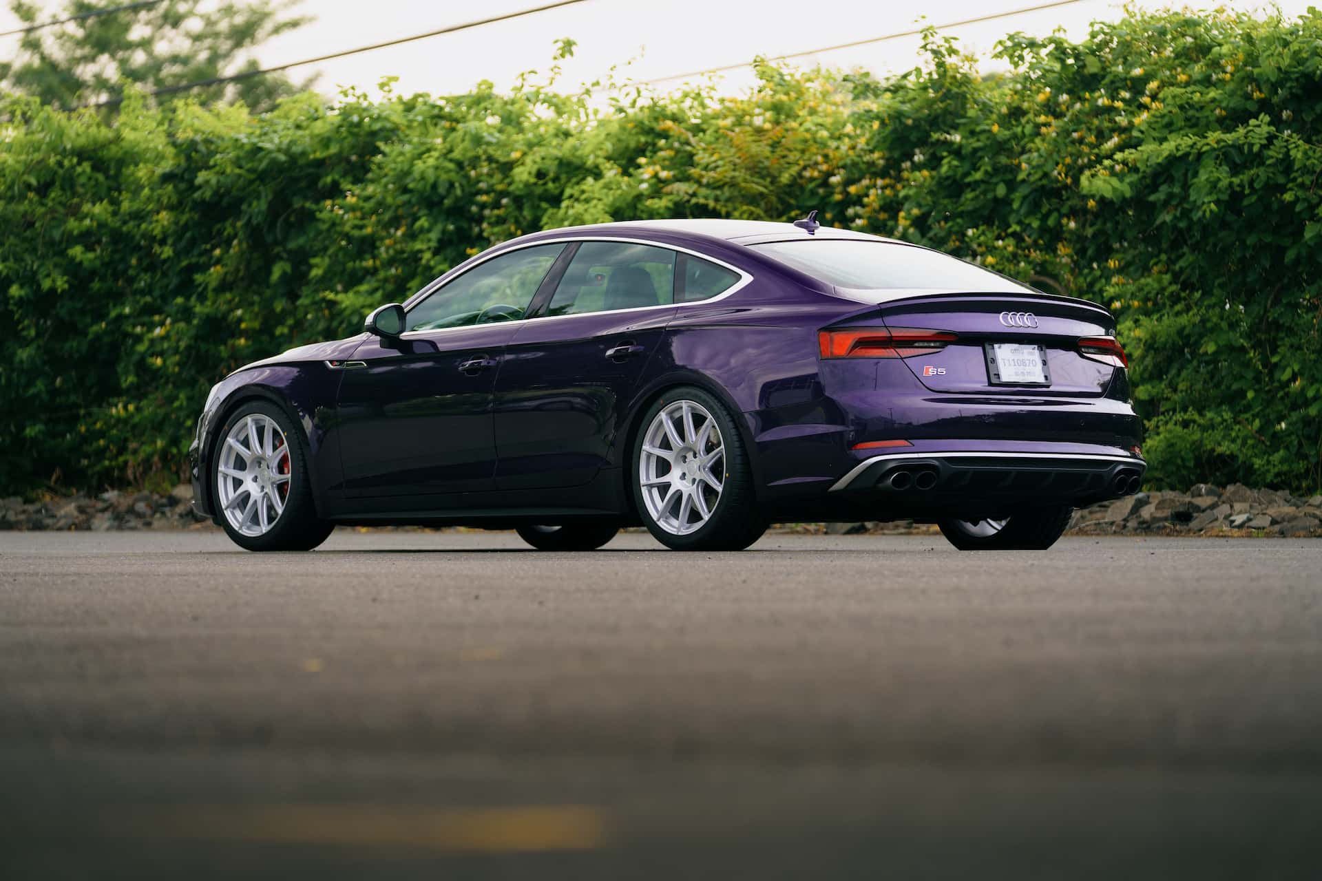 Audi B9 & B9.5 S4 & S5 | FCP Euro