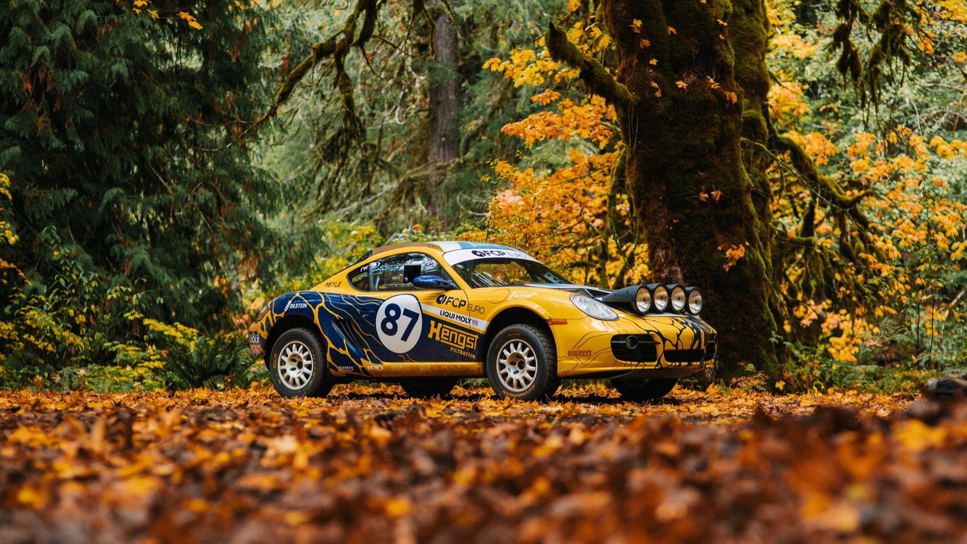 Deserts, and Streams, and Highways? Oh Yeah! - FCP Euro's Rallye Cayman ...