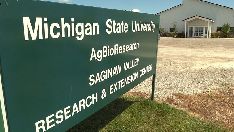 Check your costs: MSU releases 2021 Custom Machine and Work Rates ...