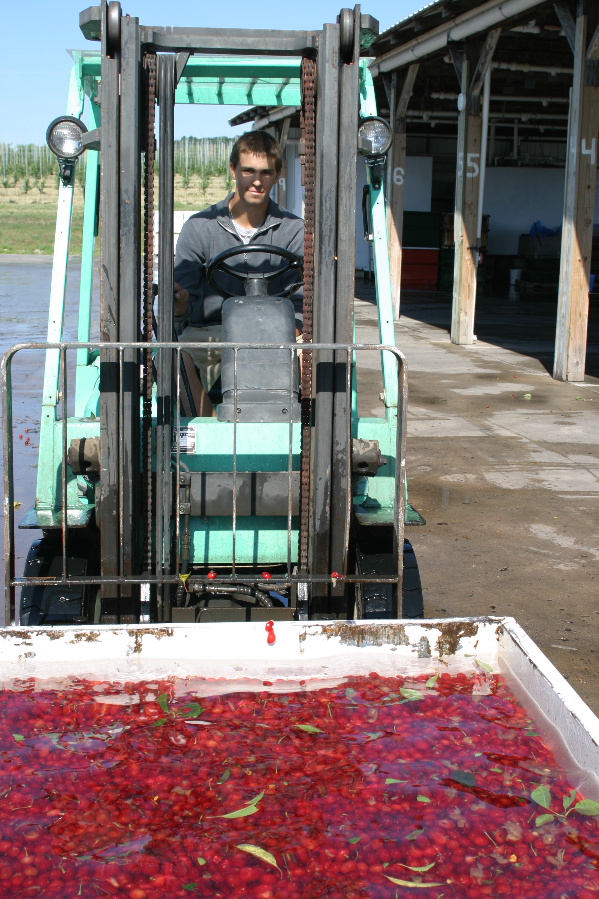 Peterson Farms picked to process Cheribundi tart cherry juice ...