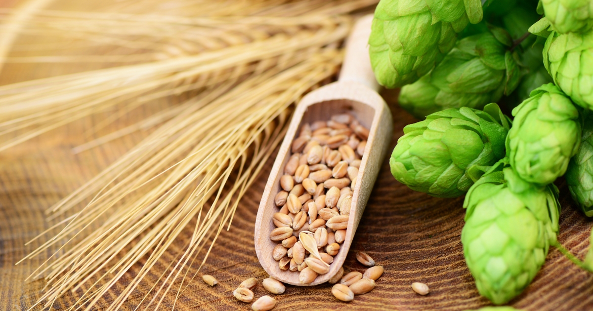 Bierbrauen - einfach und verständlich erklärt