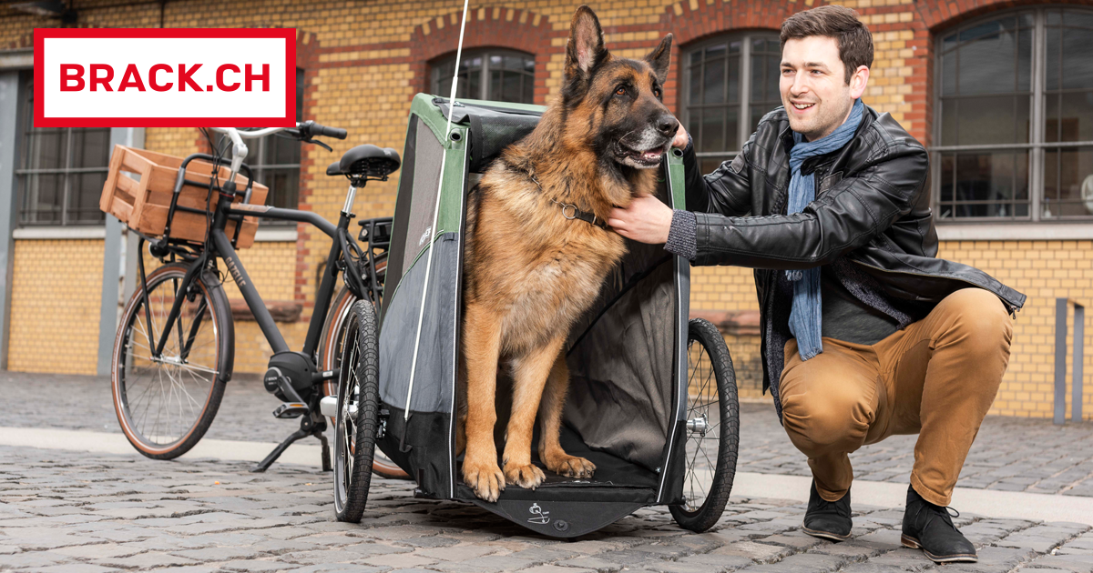 Croozer: Veloanhänger für Hunde