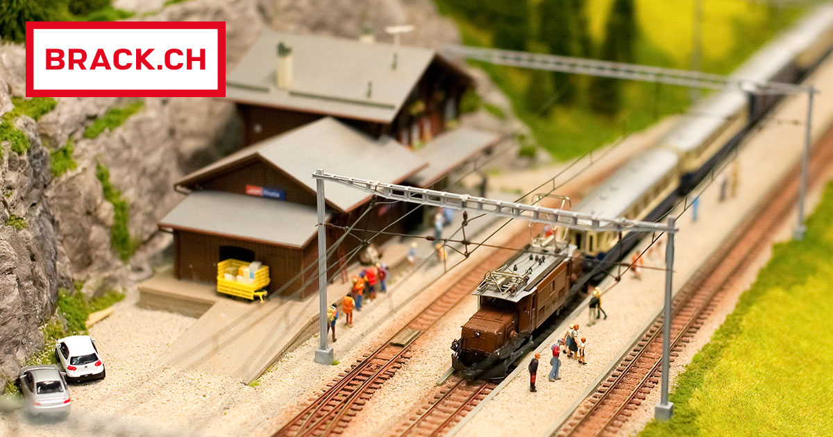 Fascination pour les chemins de fer miniatures