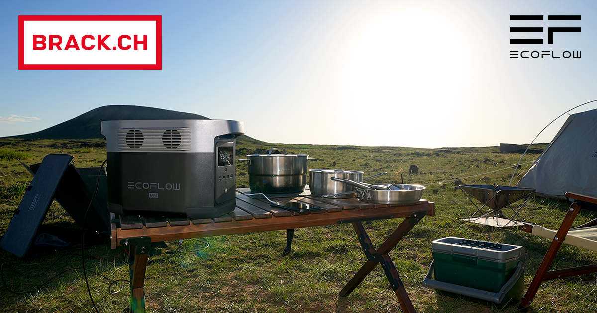 EcoFlow Power Stations und Solarmodule