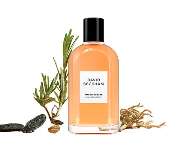 The Collection, Eau de Parfum & Eau de Toilette | Beckham Fragrances