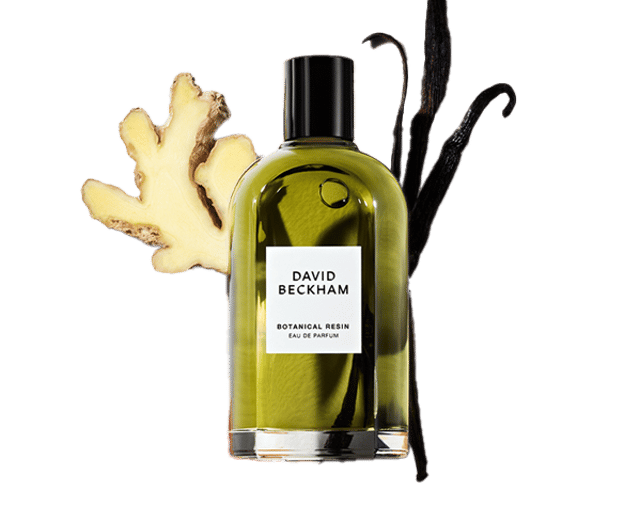The Collection, Eau de Parfum & Eau de Toilette | Beckham Fragrances