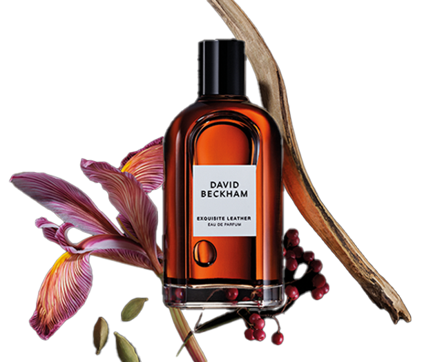 The Collection, Eau de Parfum & Eau de Toilette | Beckham Fragrances
