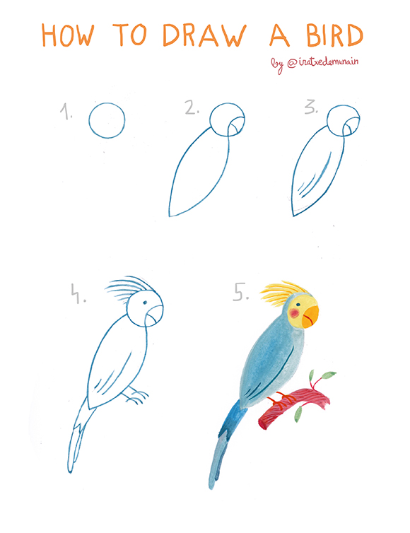 Free Coloring Pages Step Step Instructions How To Make Lessons In