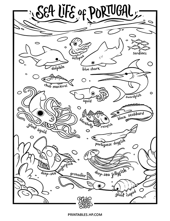 sea creature free coloring pages