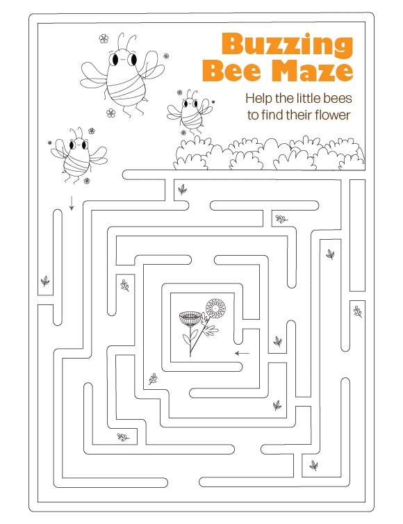 Garden Maze Worksheet