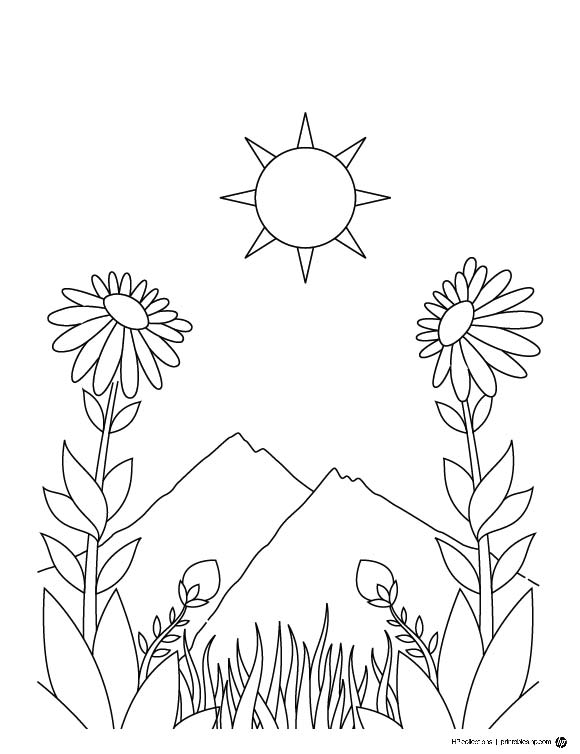 free coloring pages sunflowers
