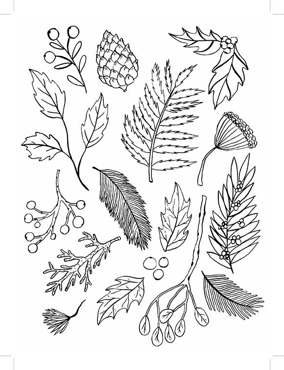 flora coloring pages