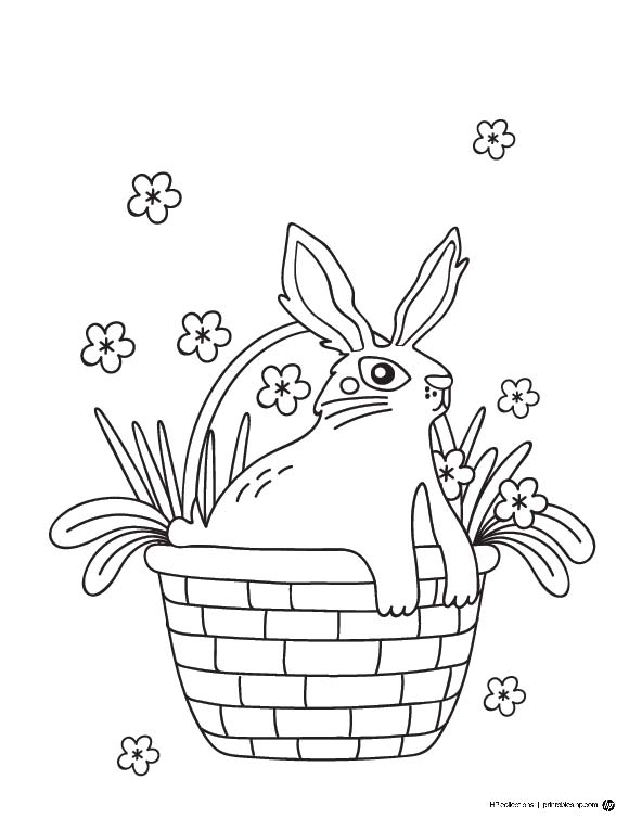 coloring pages rabbit print image