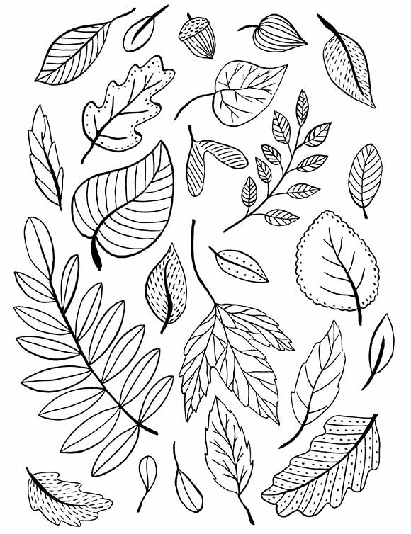 coloring pages leaves printable
