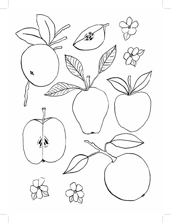 printalbe coloring pages of apples
