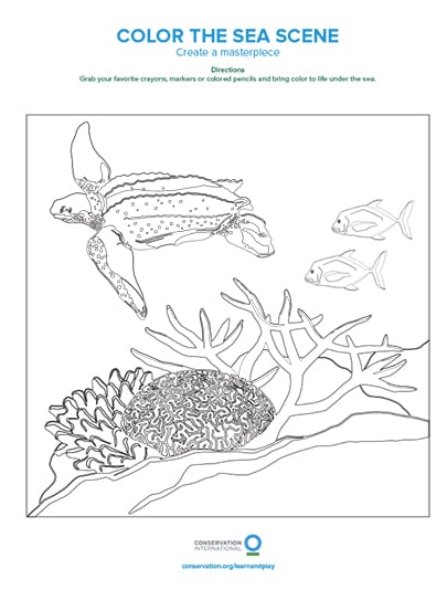 Conservation International - Free Coloring Pages & Printables | HP ...