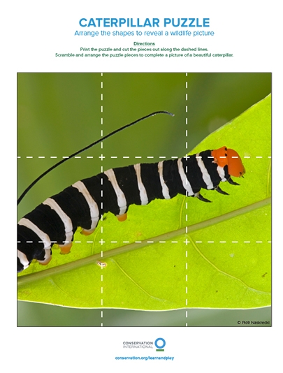 Puzzles - Free Colouring Pages & Printables | HP® United Kingdom