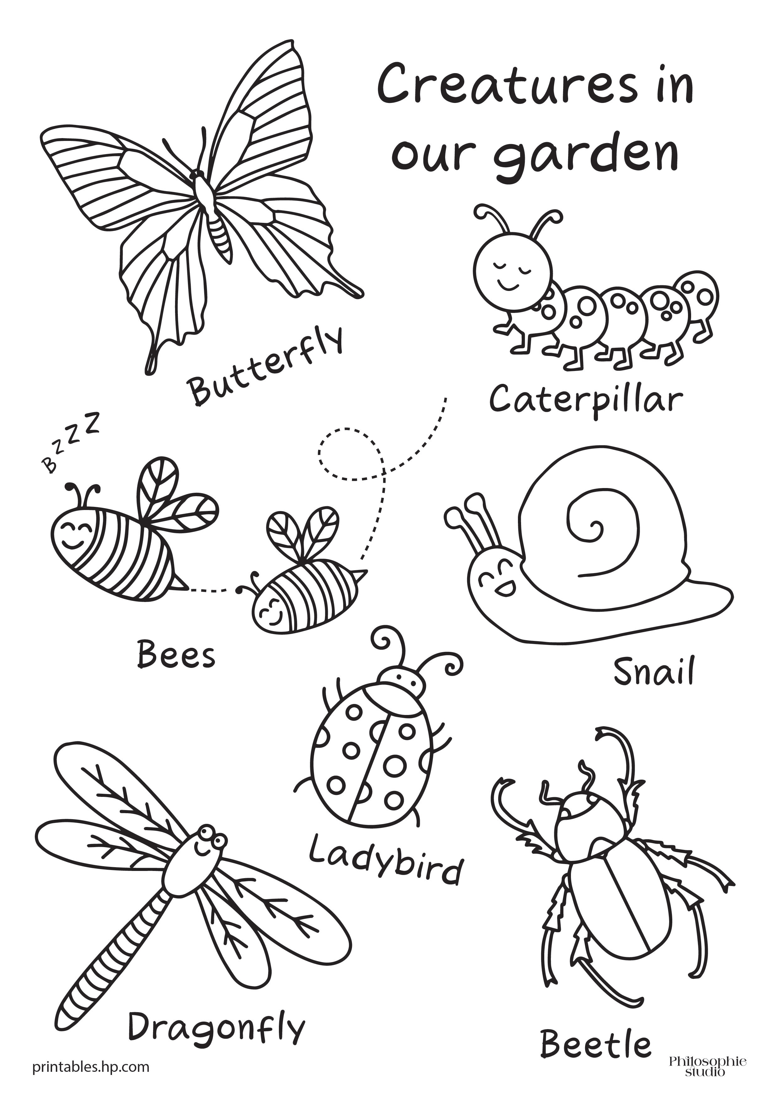Insect Coloring Pages Beetle Insect Coloring Pages To Printable