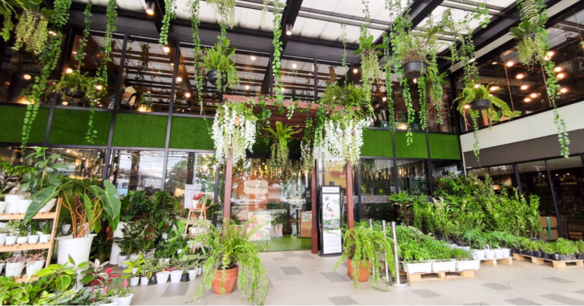 Greenhouse at Village Square Alabang: All Set to Welcome Plant Aficionados