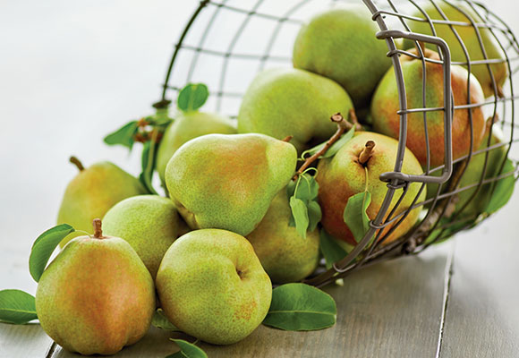 Harvest Report | Fruit from Our Orchards | Harry & David