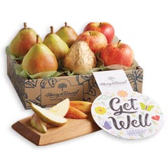 Get Well Gifts | Get Well Soon Gift Baskets | Harry & David