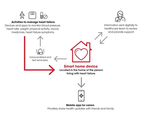 Capturing hearts with wearable devices and smart home technology ...