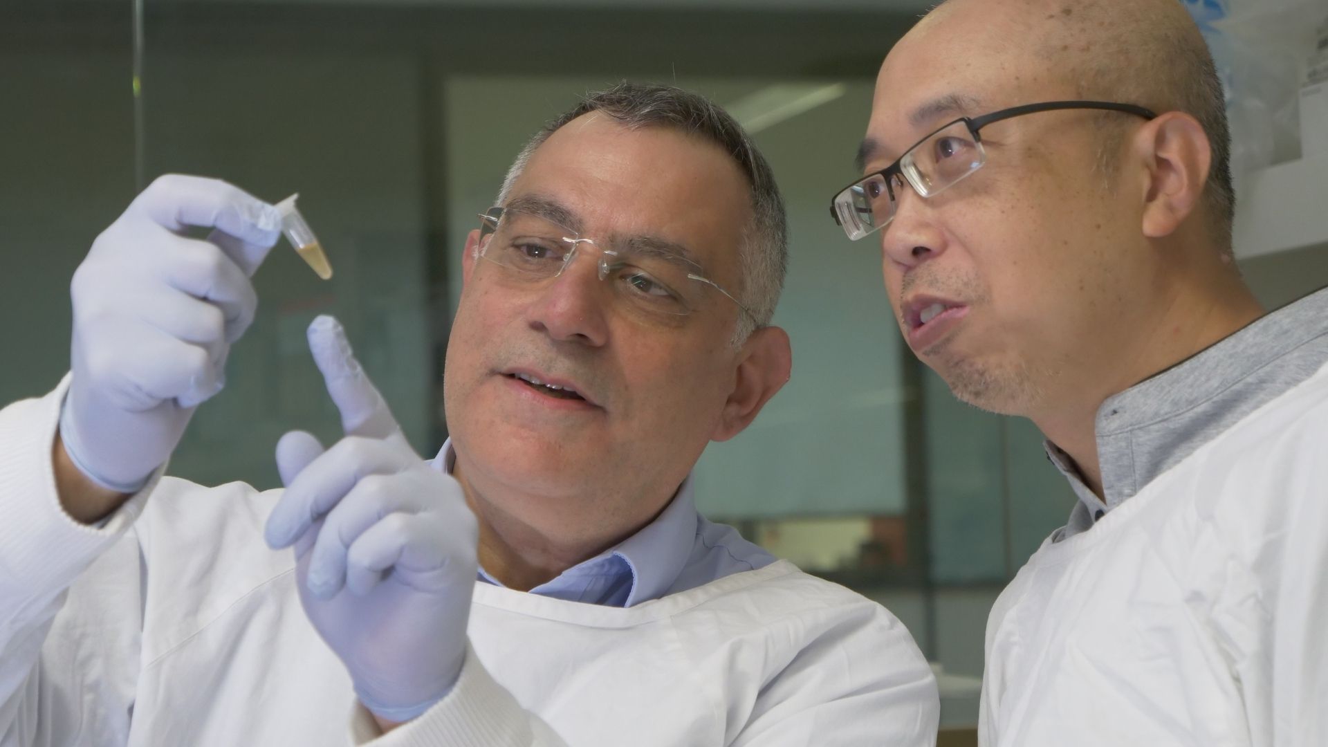 Novel drug to prevent cardiac reperfusion injury | Heart Foundation