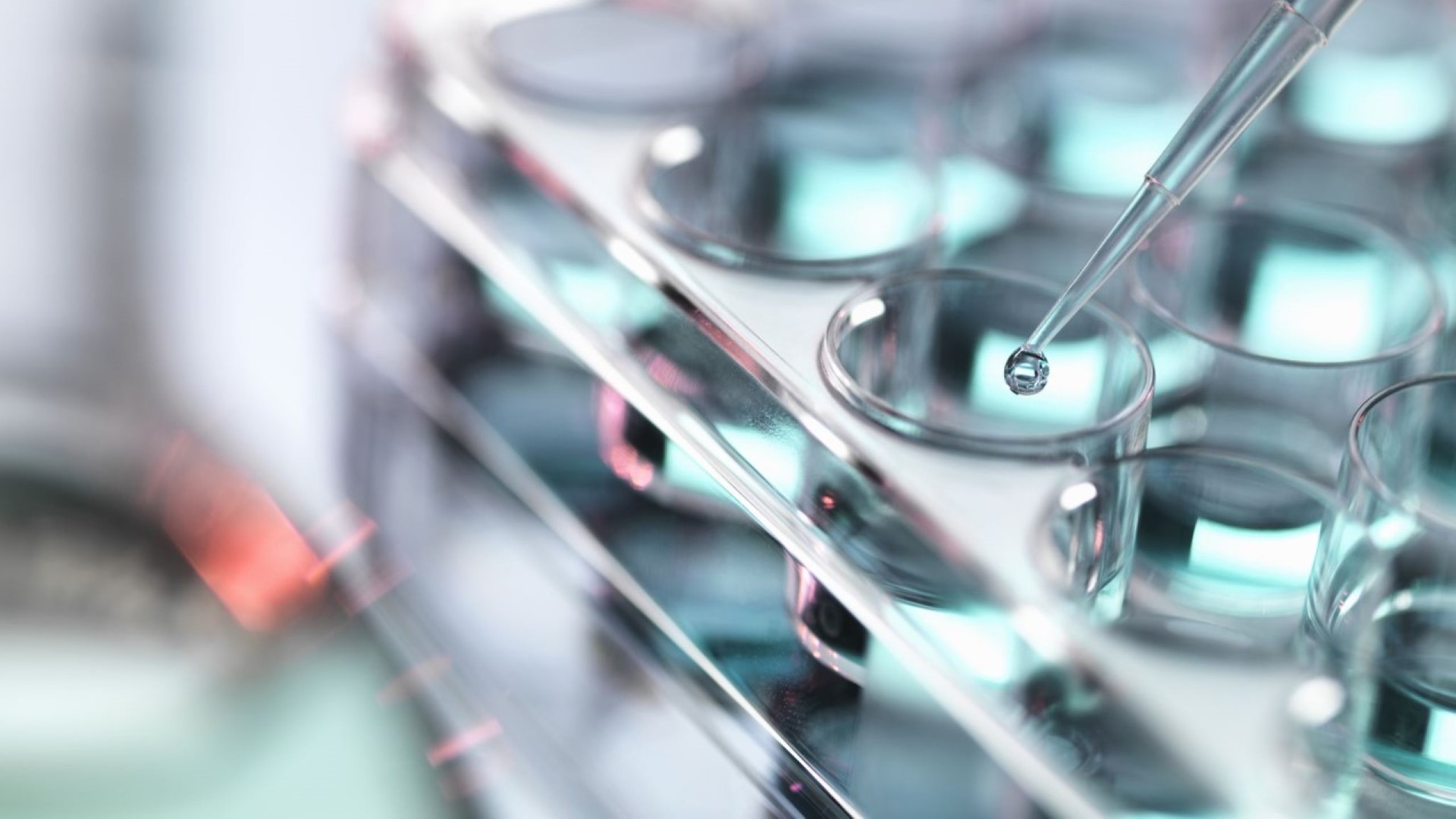 Associate Professor Peter Psaltis, University of Adelaide | Heart ...