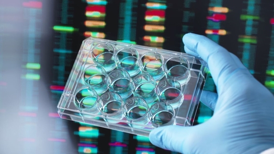 Genetic protection against cardiovascular disease | Heart Foundation