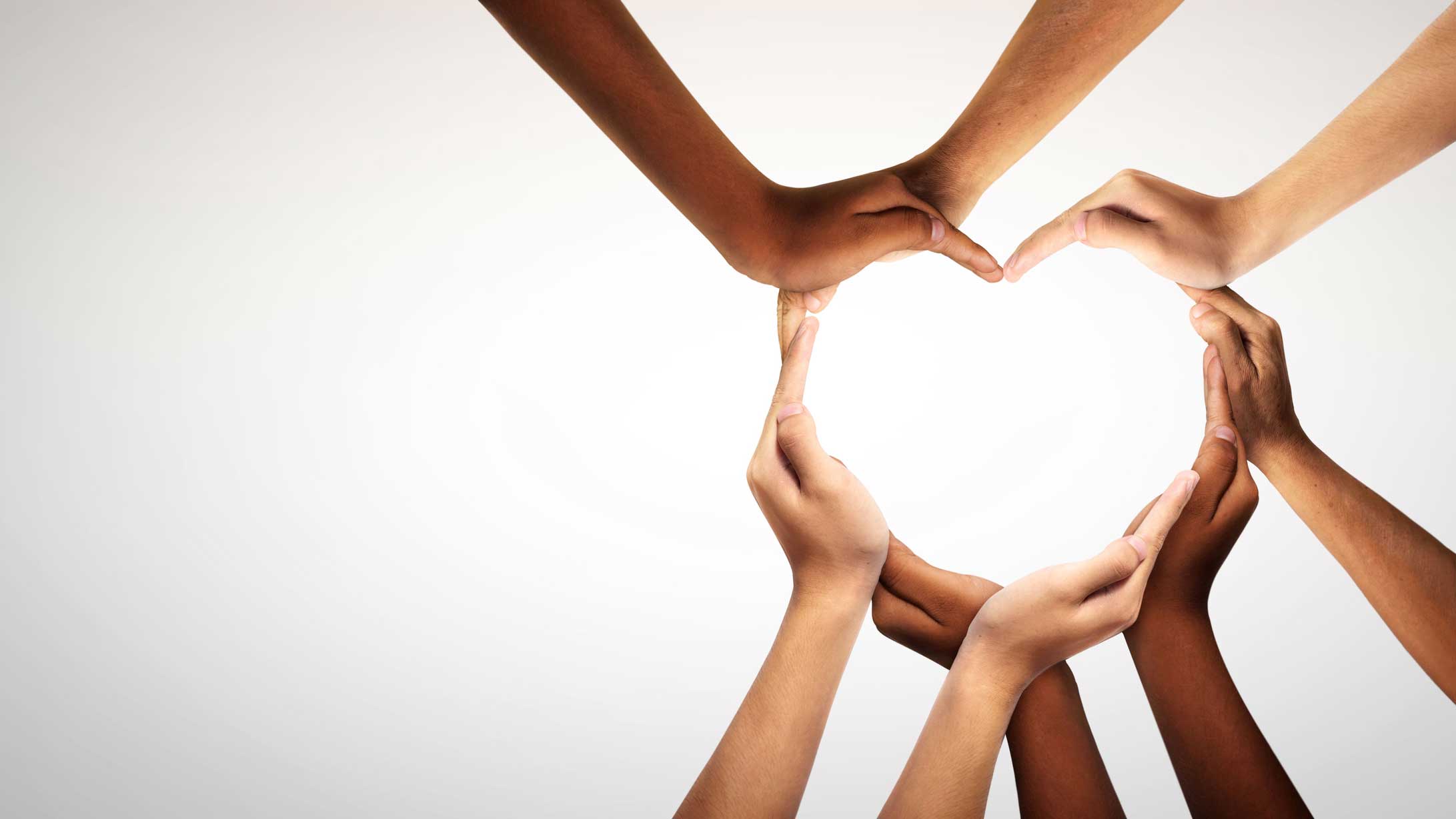 About us | Heart Foundation