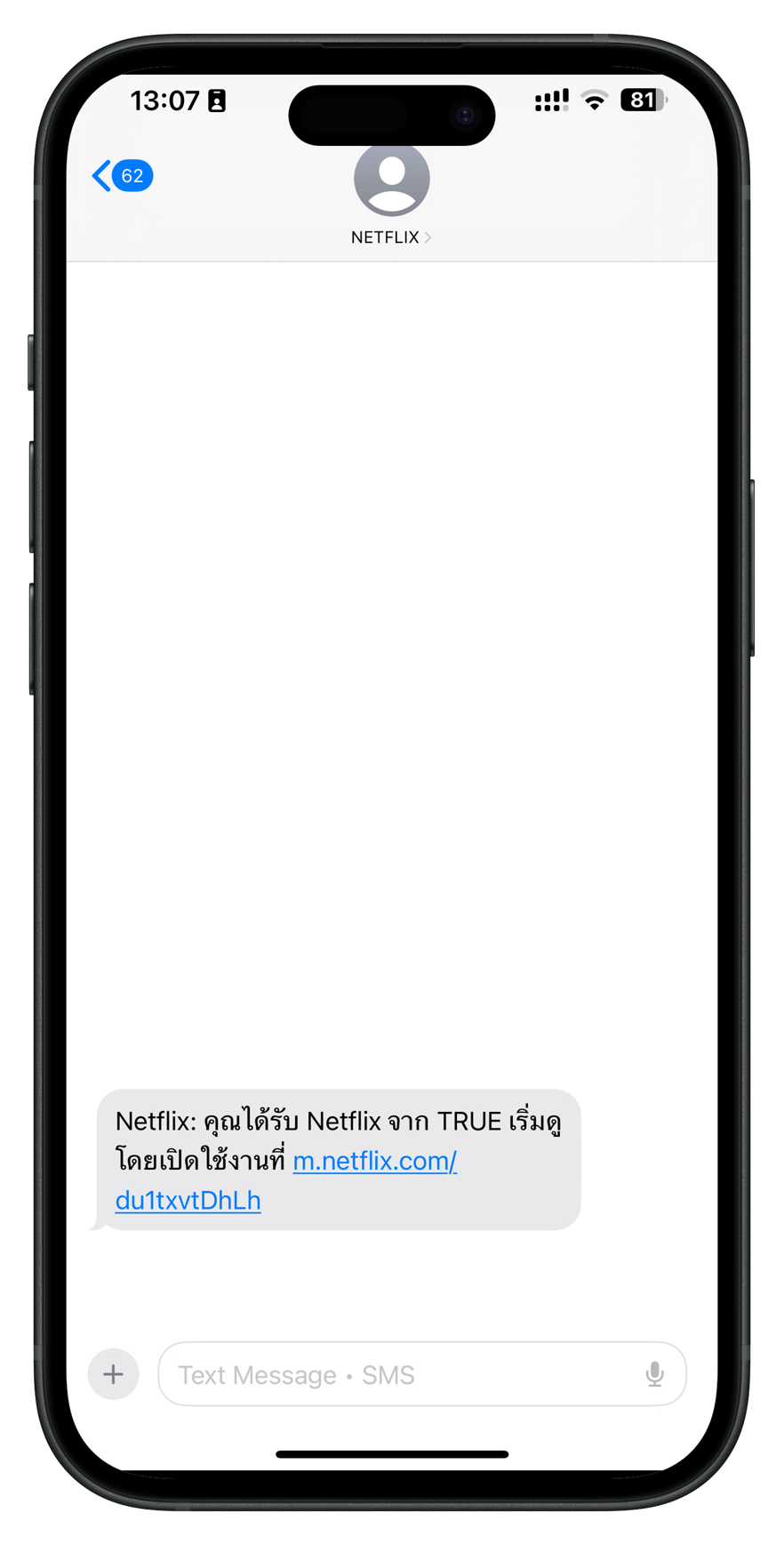 ลูกค้า True ผูกบัญชี Netflix ยังไง? ดูวิธีทำที่นี่ (อัปเดตล่าสุด)