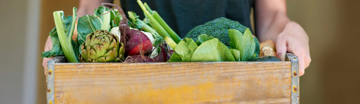 Planet-Friendly Foods: How to Eat Sustainably - Blackmores