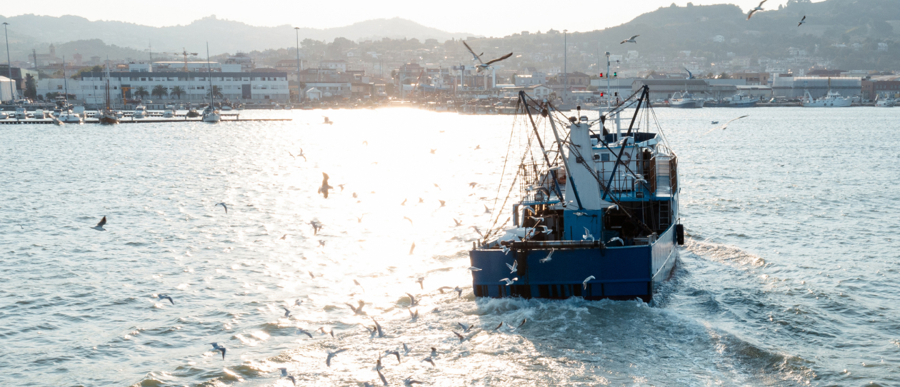 Sustainable Fish Oil | Blackmores