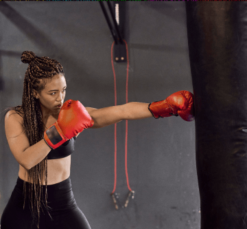 Types of Punching Bags | Academy