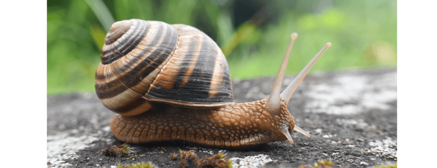 Best Catfish Bait & Lures That Actually Work | Academy