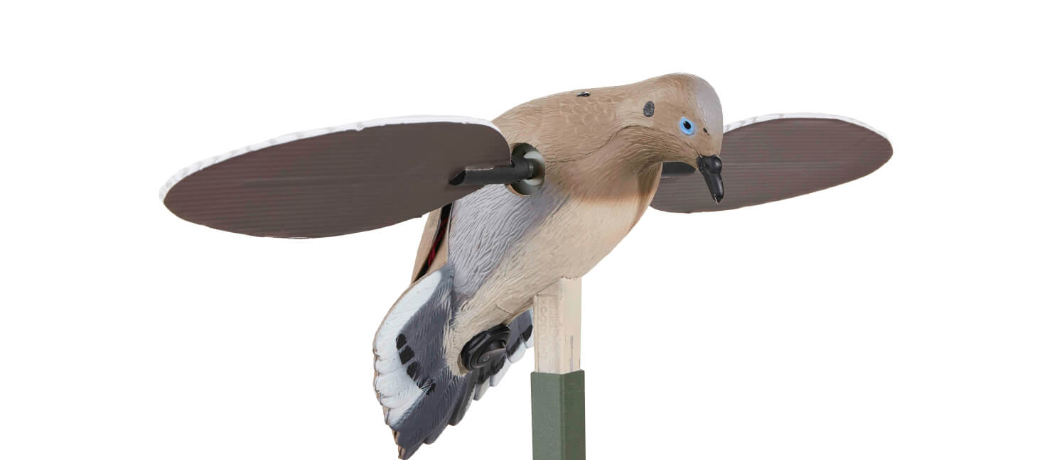 Dove Hunting Checklist: 20 Accessories You Need | Academy