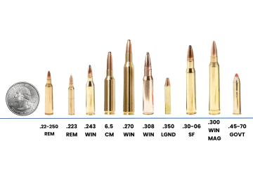 Rifle Ammunition Sizes