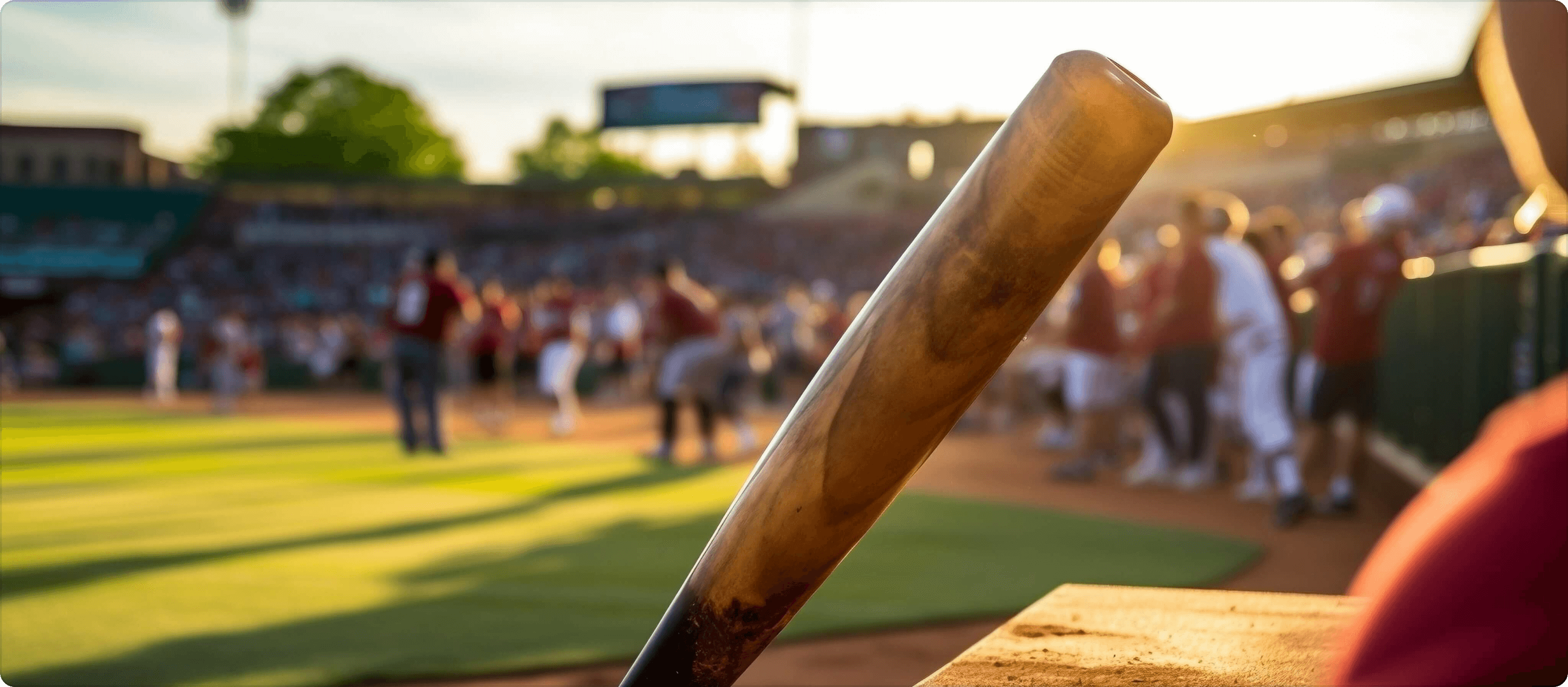 Types of Baseball Bats | Academy