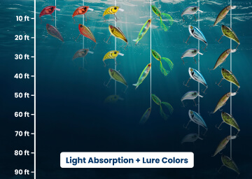 Fishing Lure Color Selection Chart | Academy