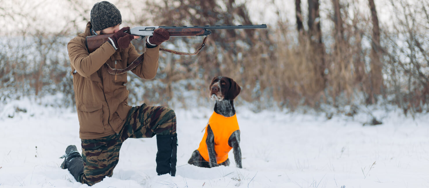 Shotguns vs Rifles: Comparing Ammo, Bore Walls, & More | Academy